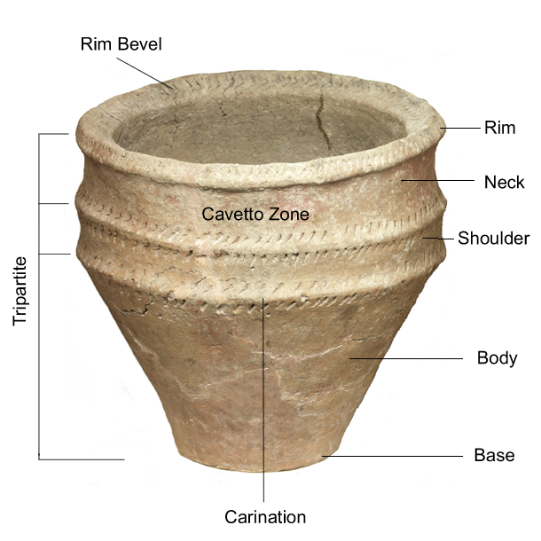 Carination - Archaeologs